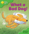 Oxford Reading Tree: Stage 2: Storybooks: What a Bad Dog! by Roderick ...